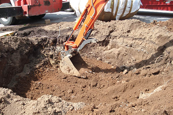 Large Tree Transplanting - Briar Rose Nurseries