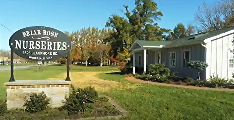 Contact - Briar Rose Nurseries